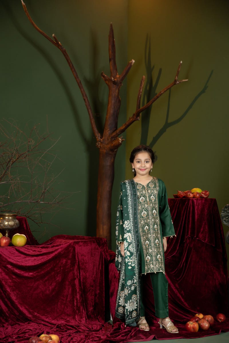 Winter Ready to Wear Shawl Collection by Mona 02